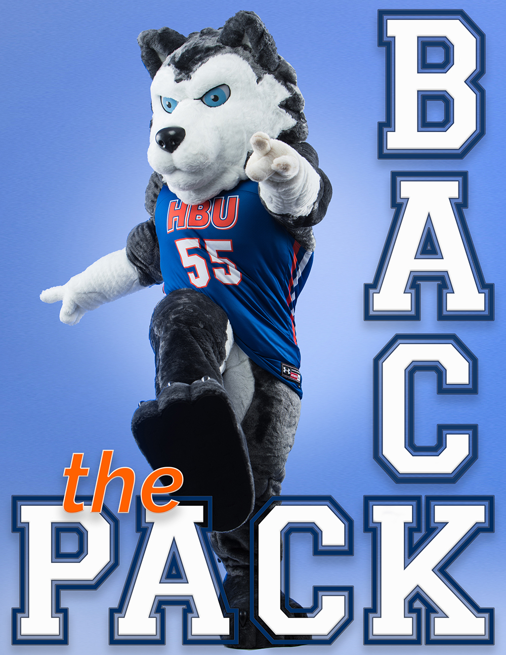 There are 3,700 Reasons the HBU Fund is Important! | Houston Christian ...