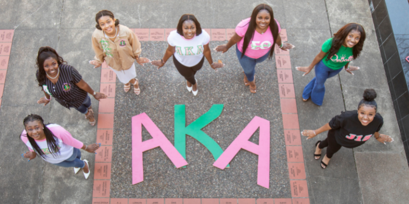Student Organization: Alpha Kappa Alpha | Houston Christian University