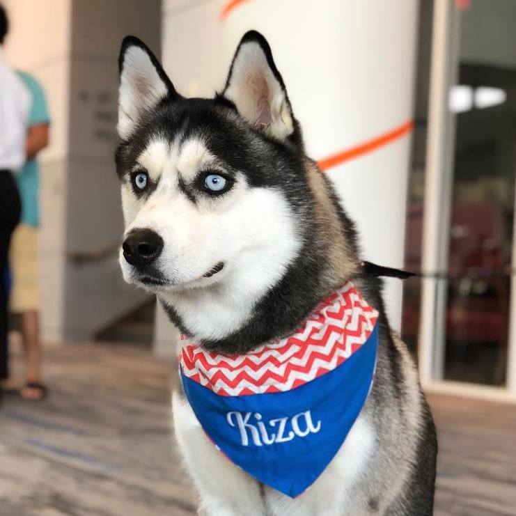 Kiza and The Sled Team | Houston Christian University