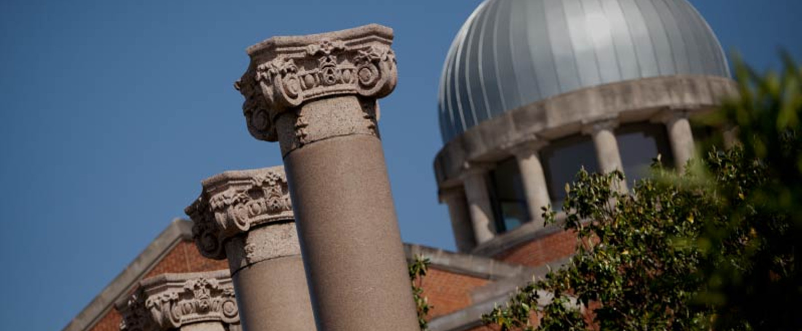 The Guild President | Houston Christian University