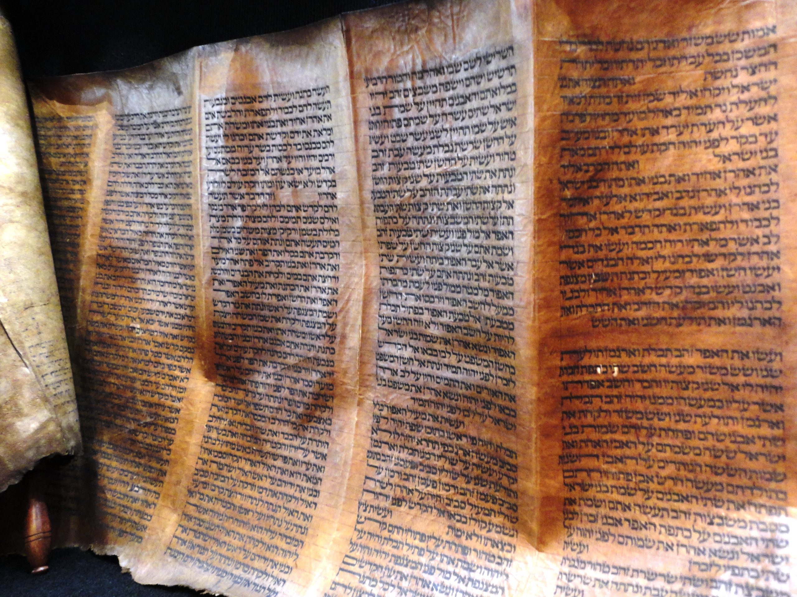 Earliest Copy Of The Bible